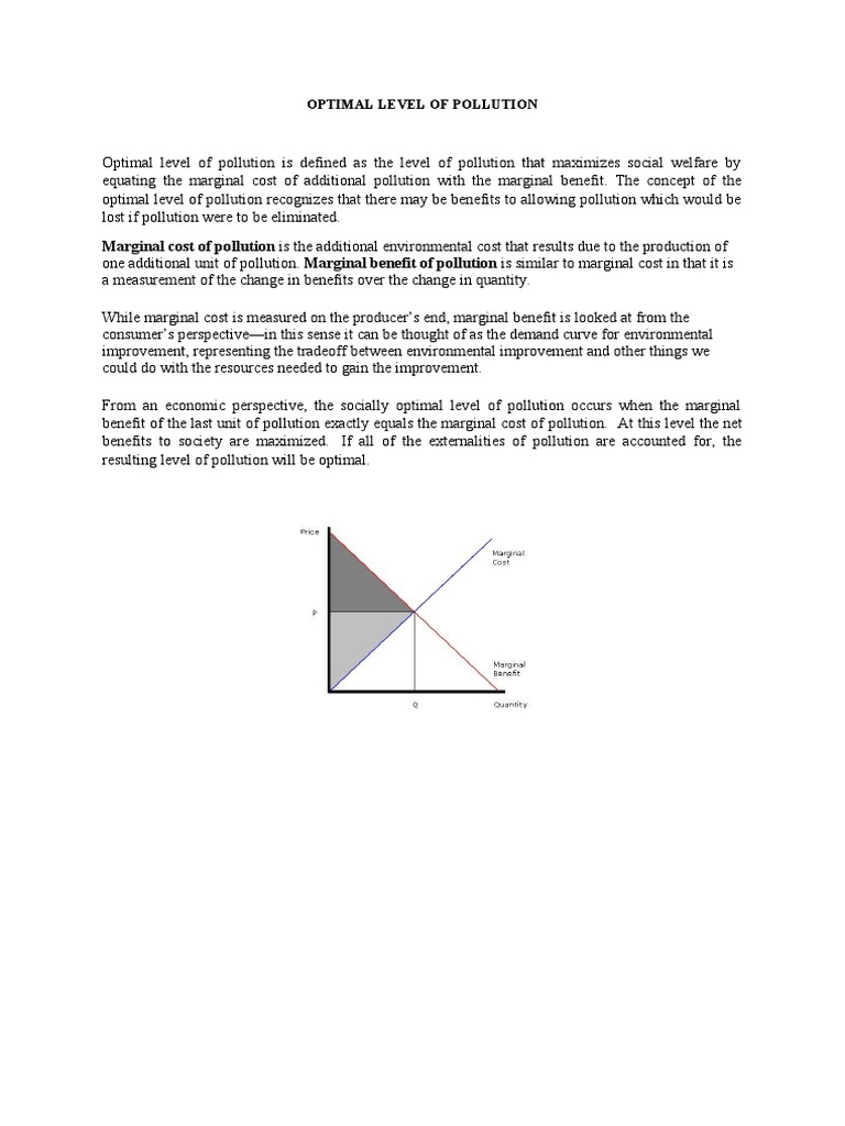Socially Optimal Pollution Level Explained | PDF | Science & Mathematics