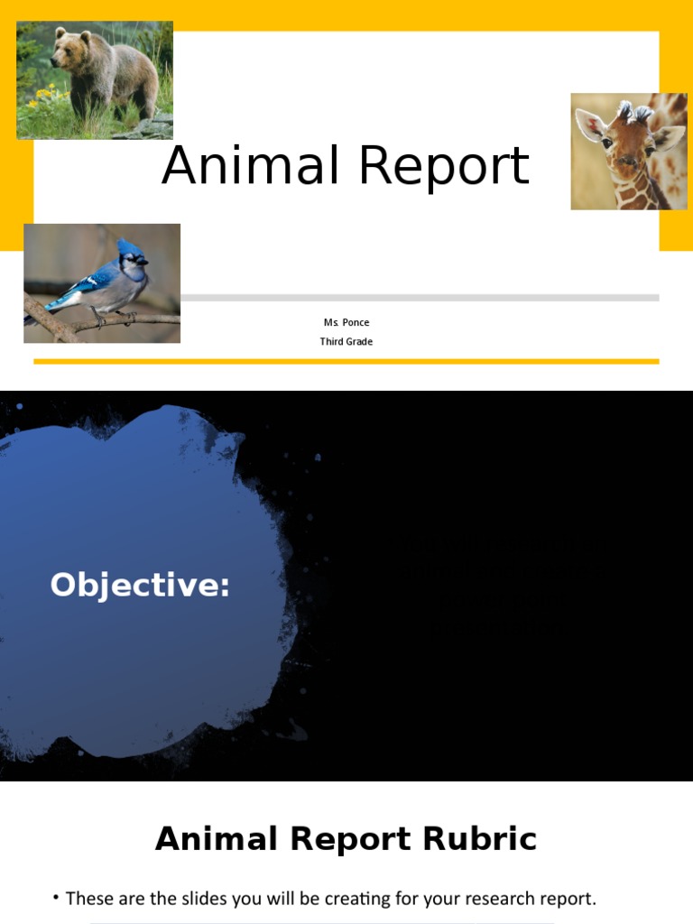Animal Report Rubric | PDF | Adaptation | Organisms