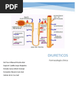 Irtopan | PDF | Drogas | Medicina CLINICA