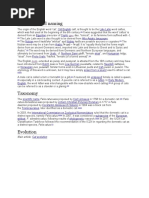 Goobert: The Silly Corndog Cat | PDF | Domesticated Animals | Animals ...