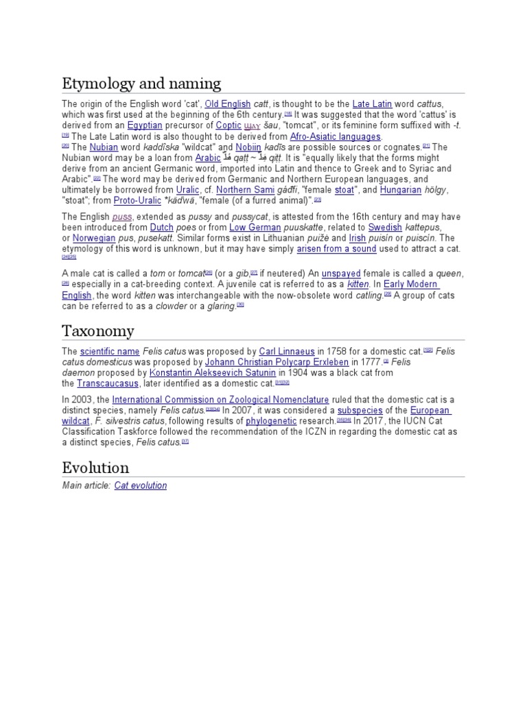 Etymology and Naming: Kitten | PDF | Cats | Claw