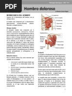 Revisión del intervalo rotador en MRI | PDF | Hombro | Extremidades ...