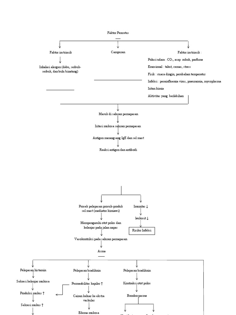 Pathway Asma Bronkial | PDF