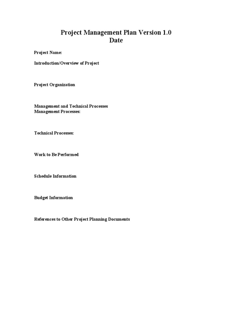 Project Management Plan Overview 1.0 | PDF
