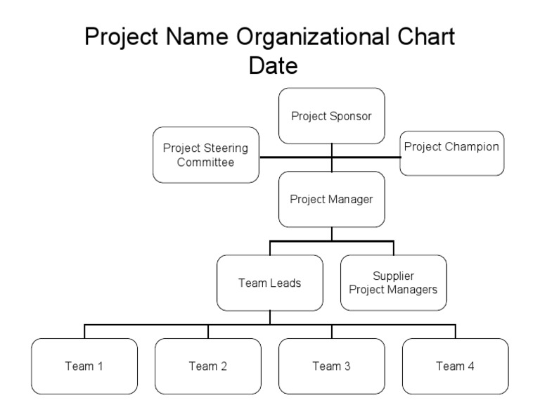 Project Organizational Chart | PDF