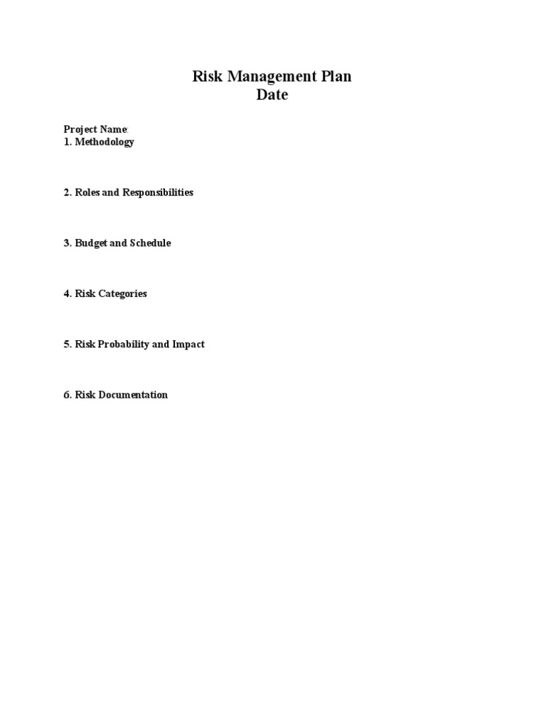 Risk Management Plan Overview | PDF