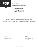 Semana 6, Valores, Principios y Elementos de La APS | PDF | Gestión de recursos humanos ...