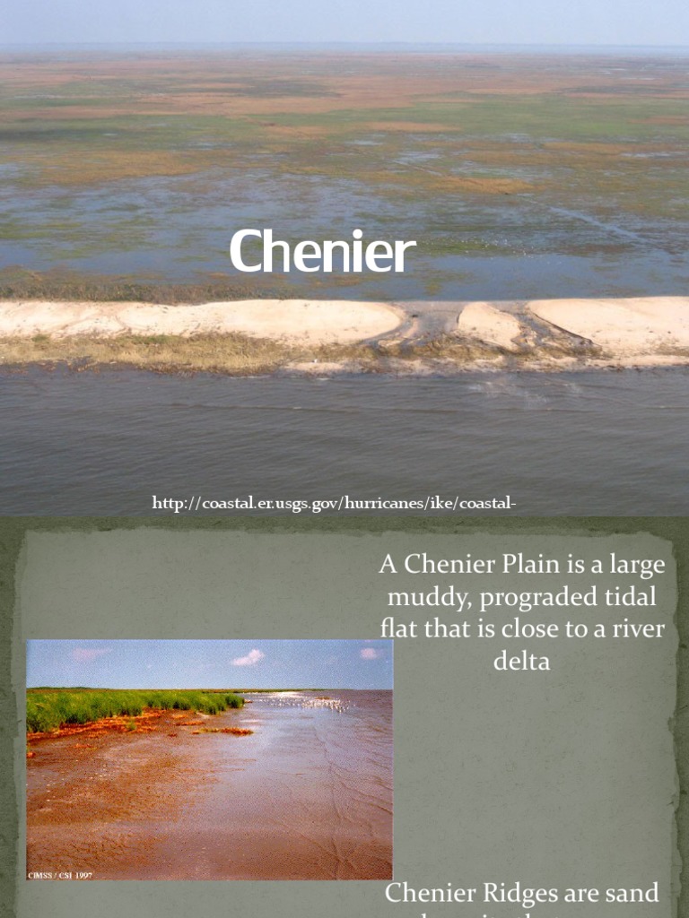 Understanding Chenier Plains and Ridges | PDF | Science & Mathematics