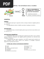 Tabelas Das Fórmulas Dri - 2023 | PDF | Peso corporal humano | Tamanho ...
