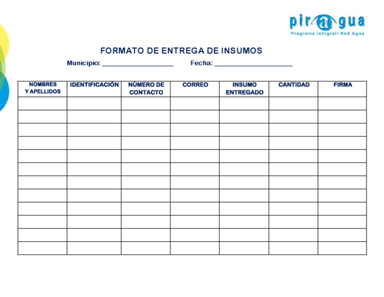 Formato Entrega Insumos | PDF