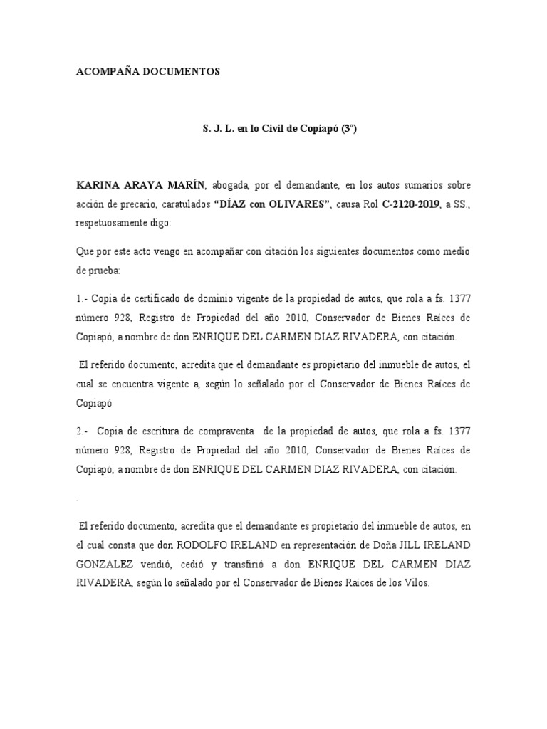 Acompaña Documentos Si | PDF