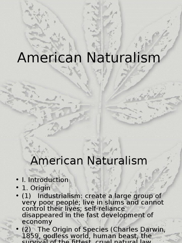 An Overview of American Naturalism and Its Major Authors: Stephen Crane ...