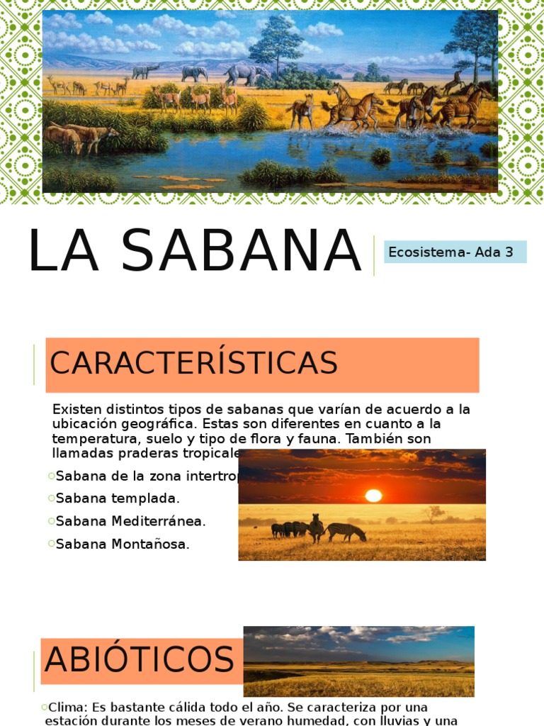 Características y componentes clave del ecosistema de la sabana | PDF ...