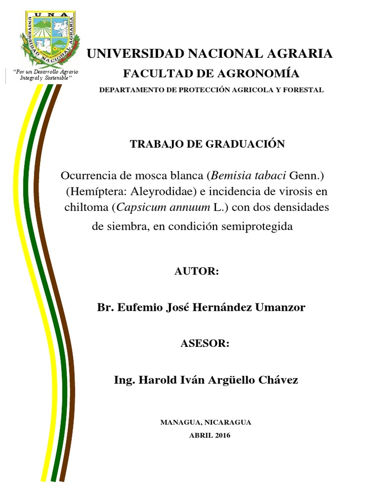 Cuido Chiltoma UNA PDF | PDF | Fertilizante | Riego