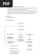 LP Bayi Baru Lahir | PDF | Kesehatan Holistik