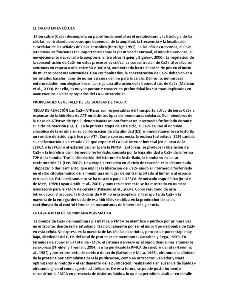 Función y Regulación del Calcio en Células | PDF | Neurona | Biología ...