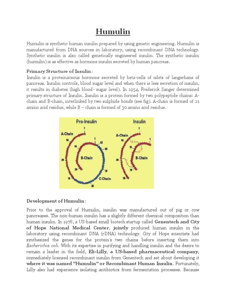 Humulin: First Genetically Engineered Insulin | PDF | Growth Hormone ...