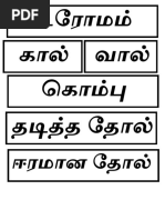 Science Experiments Tamil - STD1 - Edited Version | PDF