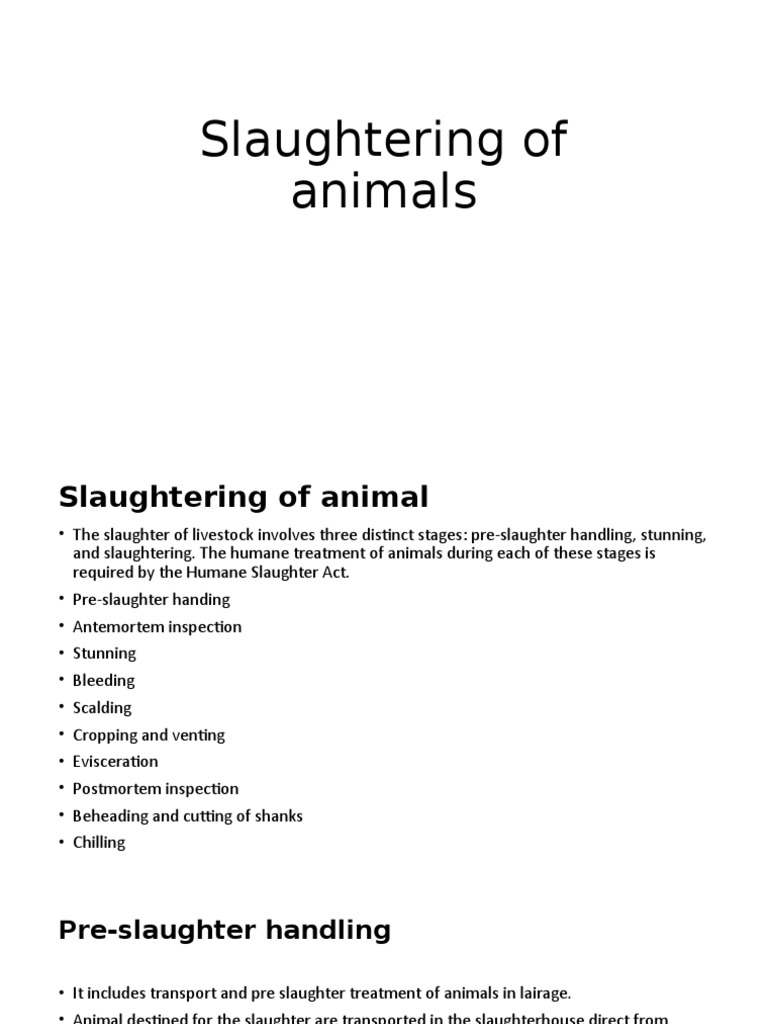 Slaughter of Animal | PDF | Animal Slaughter | Nature