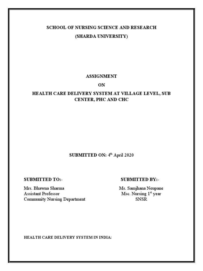 Assignment On Health Care Delivery System Pdf Health Care Health