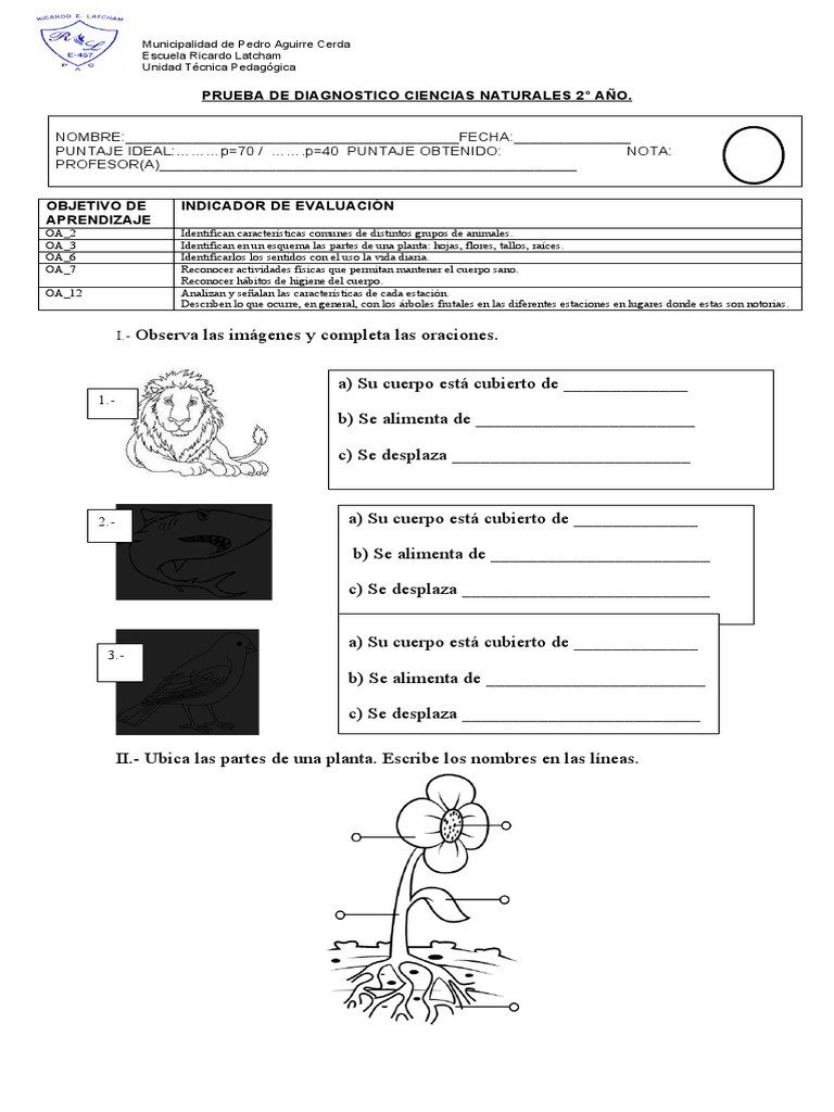 Prueba Diagnóstica Ciencias Naturales 2° | PDF | Cognición | Aprendizaje