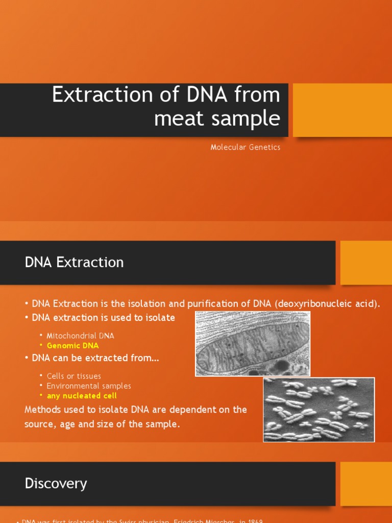DNA Extraction From Meat | PDF | Protein Purification | Laboratory ...