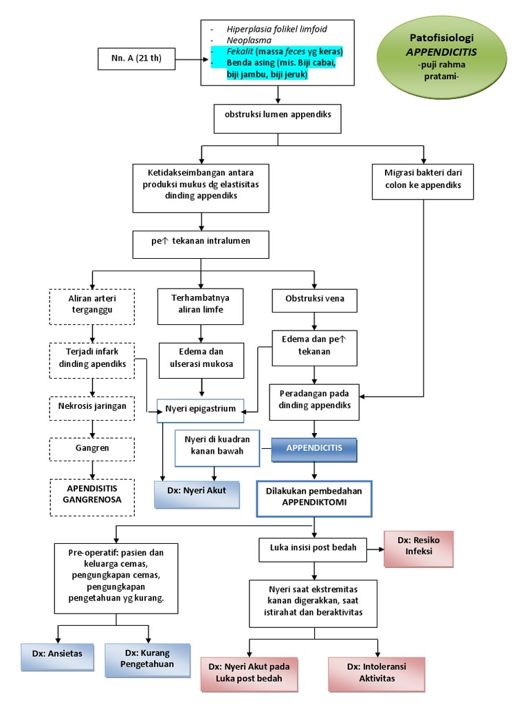 Puji - PATOFISIOLOGI APPENDICITIS (FIX) PDF | PDF