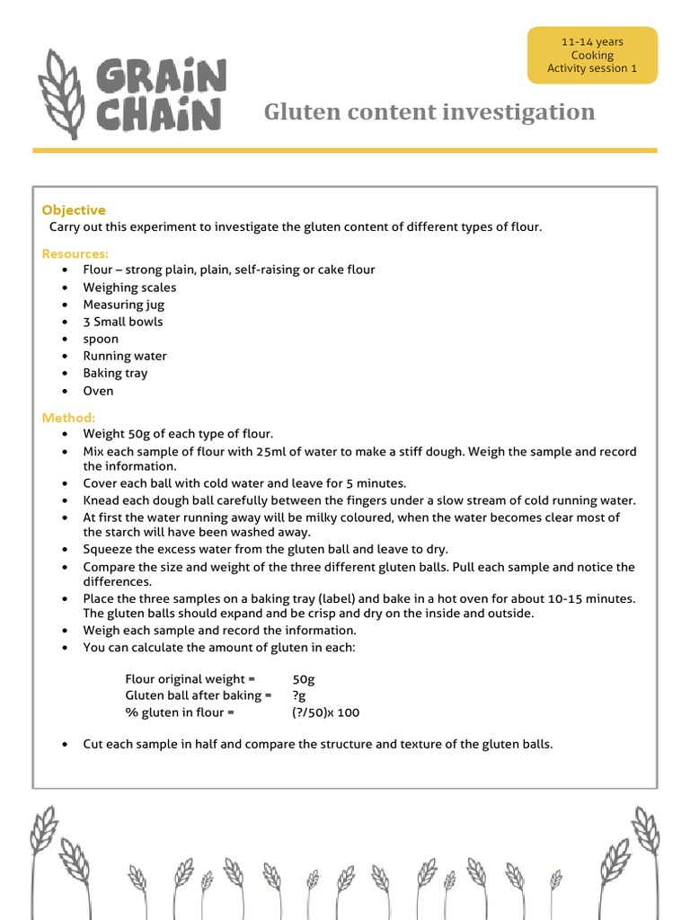 Gluten Content Experiment for Kids | PDF