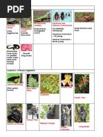 Common Names of Fish in The Phillippines | PDF | Philippines | Seafood