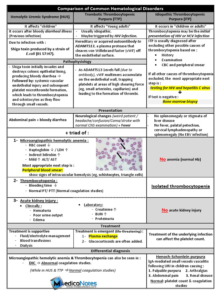 Common Hematological Disorders | PDF | Epidemiology | Anatomy