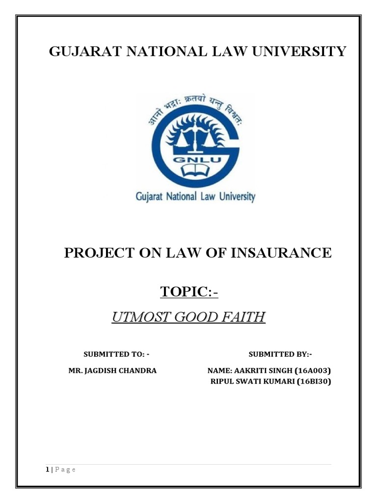 Insurance Project Final Draft | PDF | Misrepresentation | Insurance