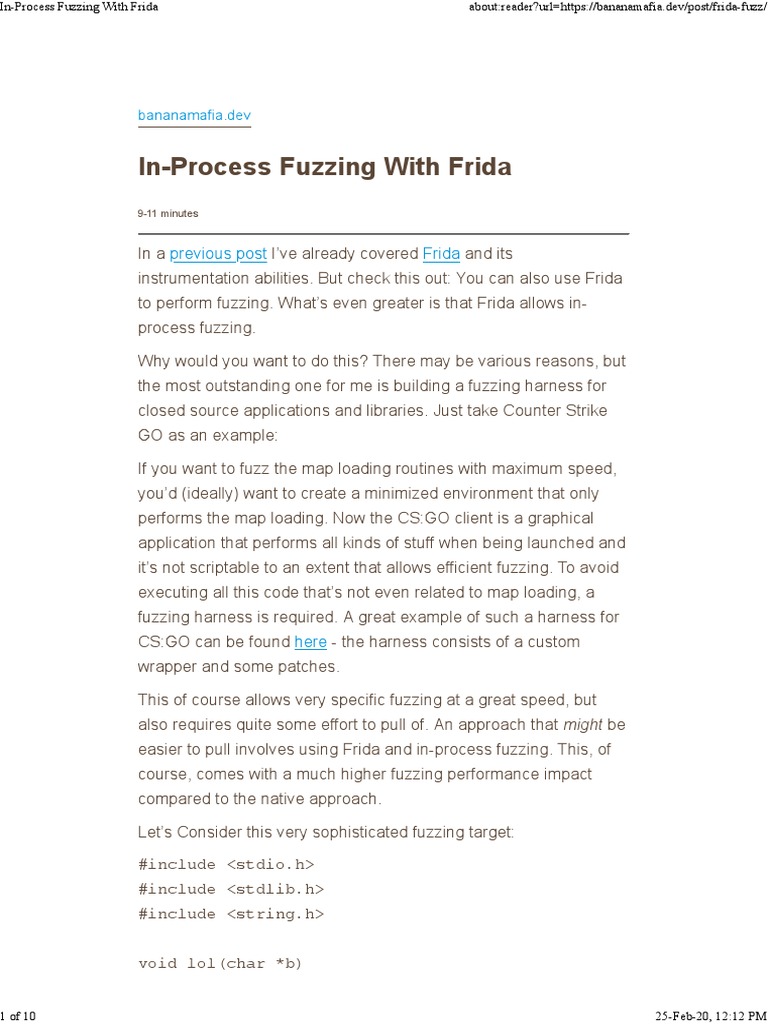 In Process Fuzzing With Frida | PDF | Software Development | Systems Engineering