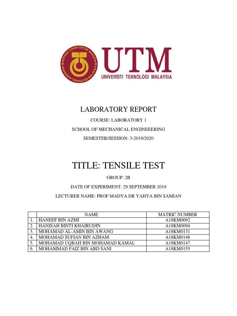 Tensile Test Lab Report | PDF | Deformation (Engineering) | Young's Modulus