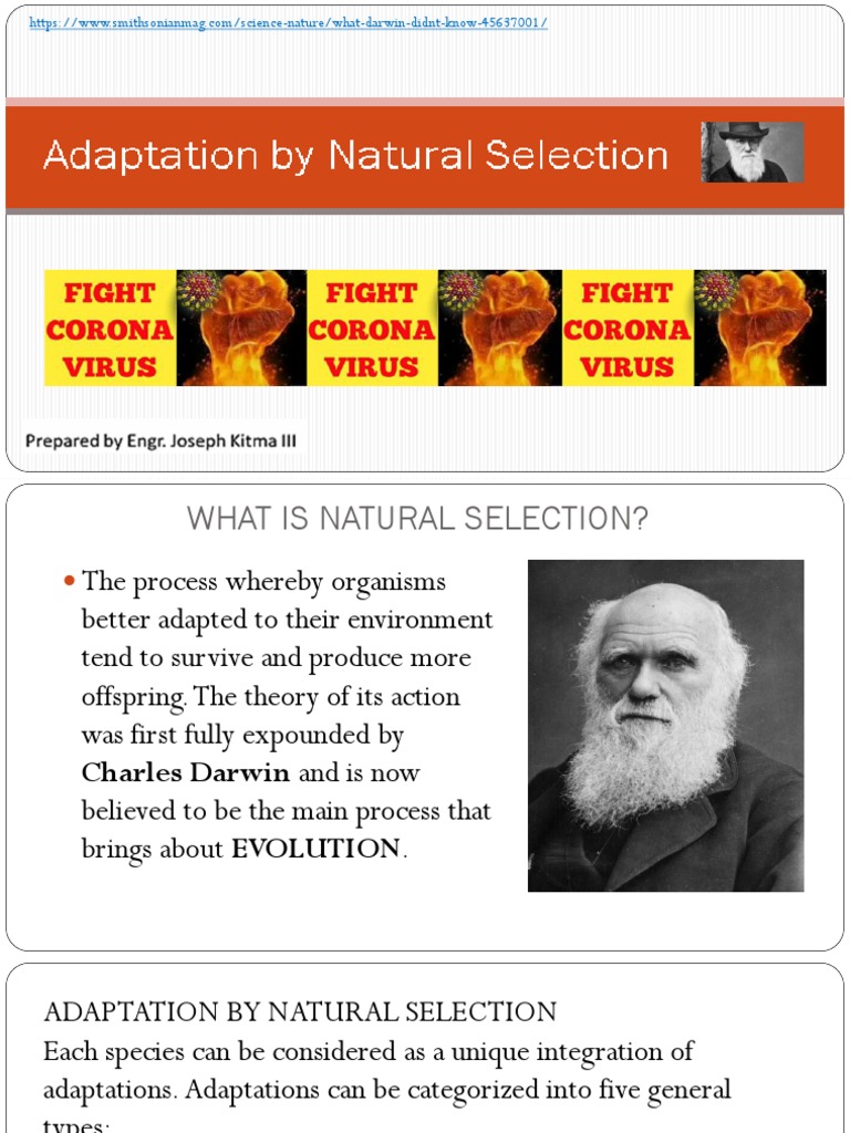Natural Selection | PDF | Resource | Evolution