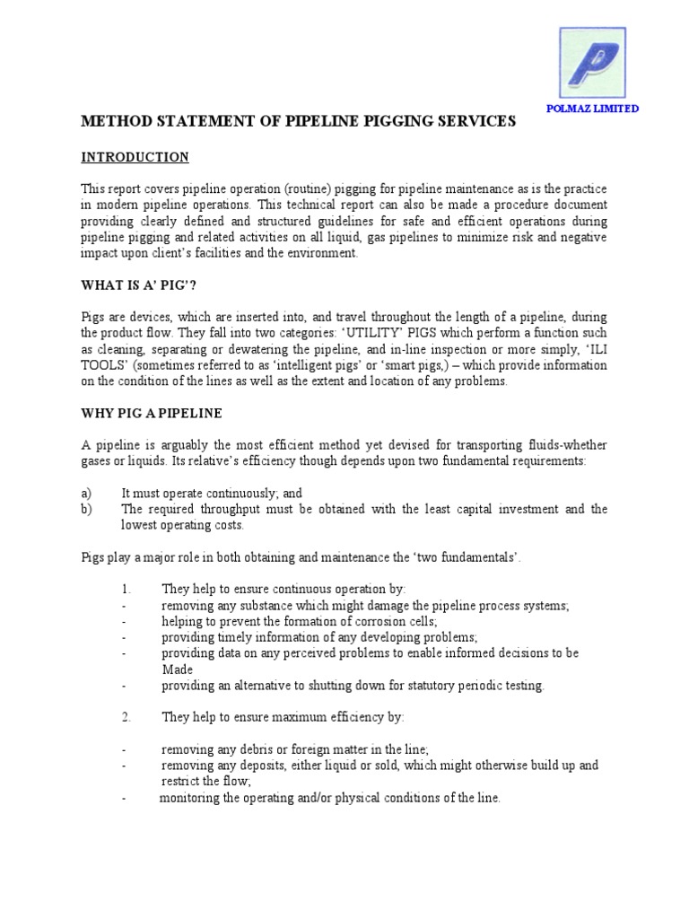 Pipeline Pigging Procedures For Polmaz Limited | PDF | Pipeline ...