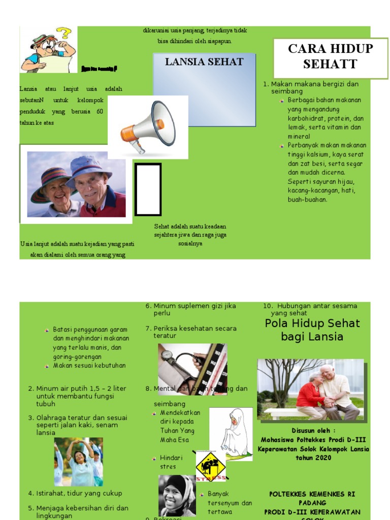Leaflet Pola Hidup Sehat Lansia | PDF