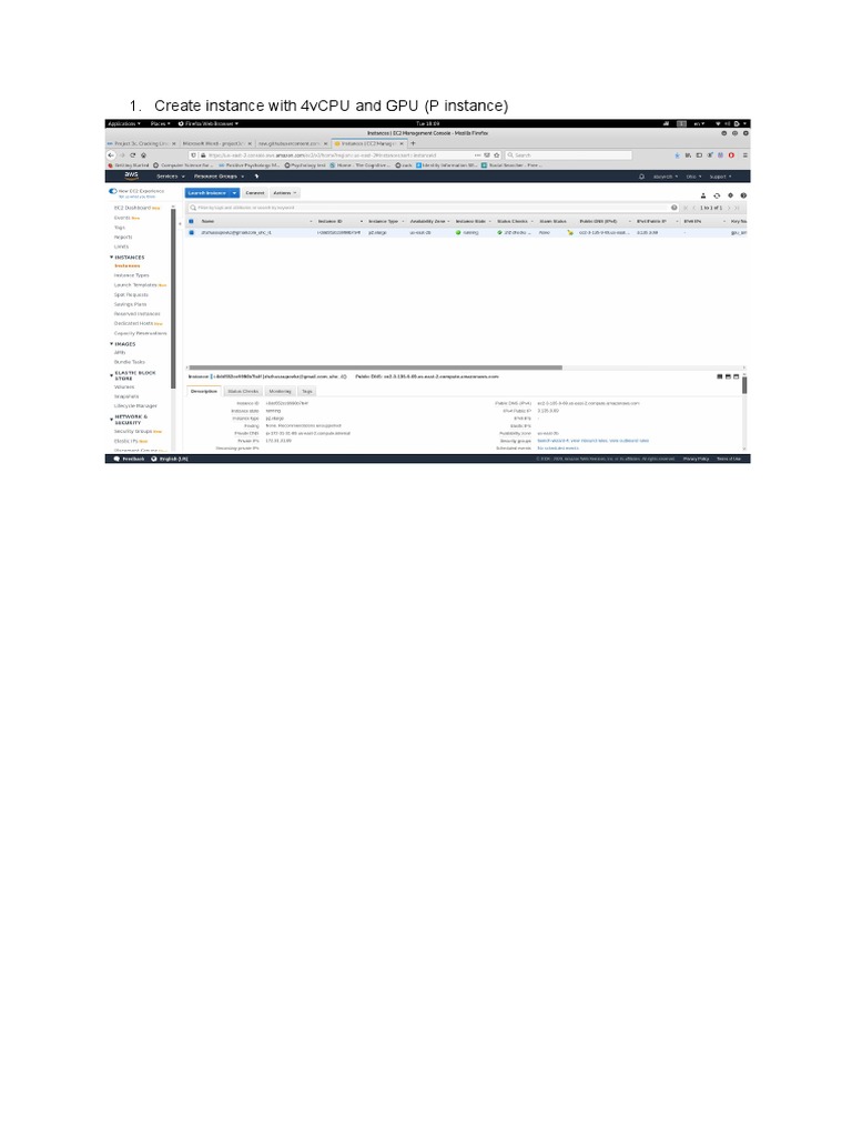 Create Instance With 4vCPU and GPU (P Instance) | PDF