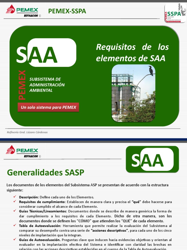 Sspa Saa | PDF | Planificación | Auditoría