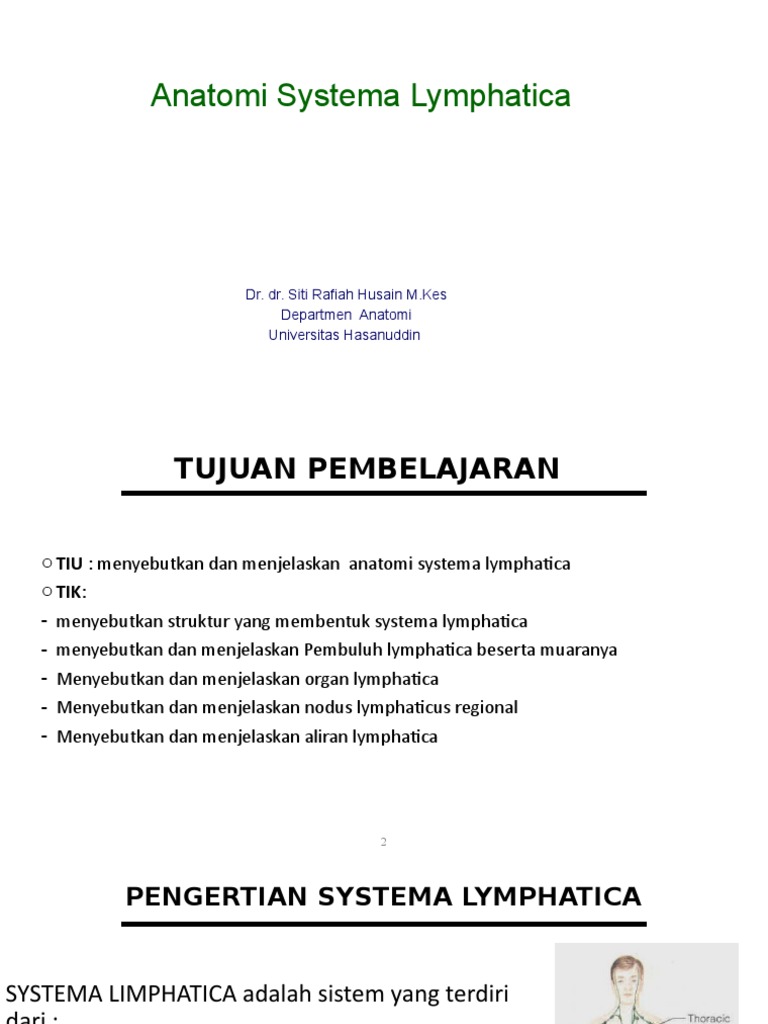 Anatomi Sistem Limfatik Dr. Siti Rafiah) | PDF