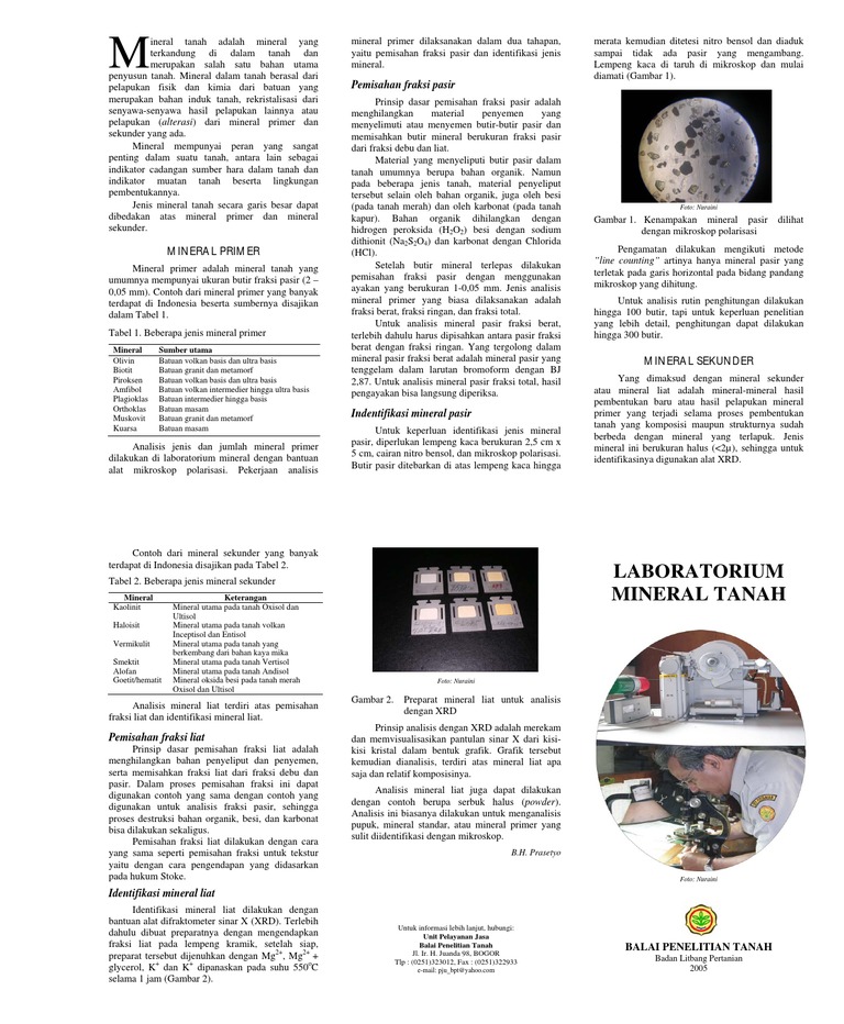 Lab Mineral | PDF