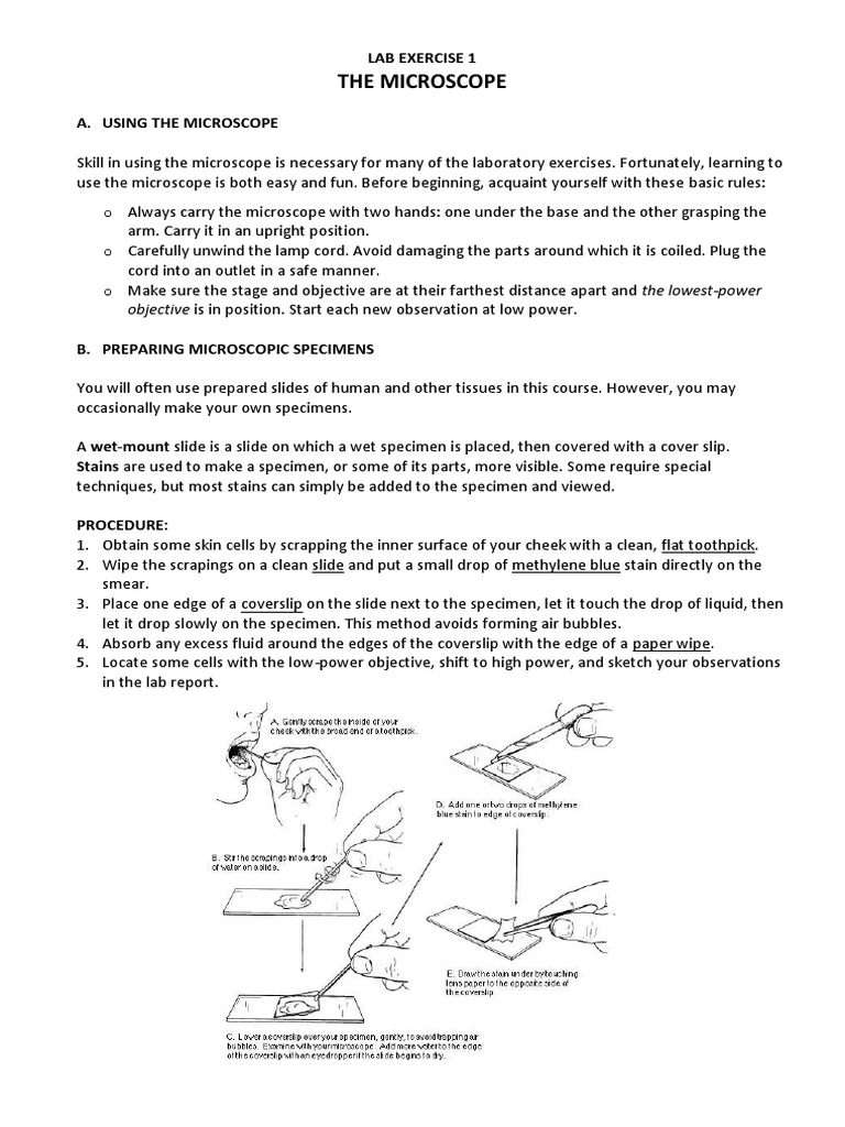 Lab Exercise 1 | PDF | Microscope | Microscopy