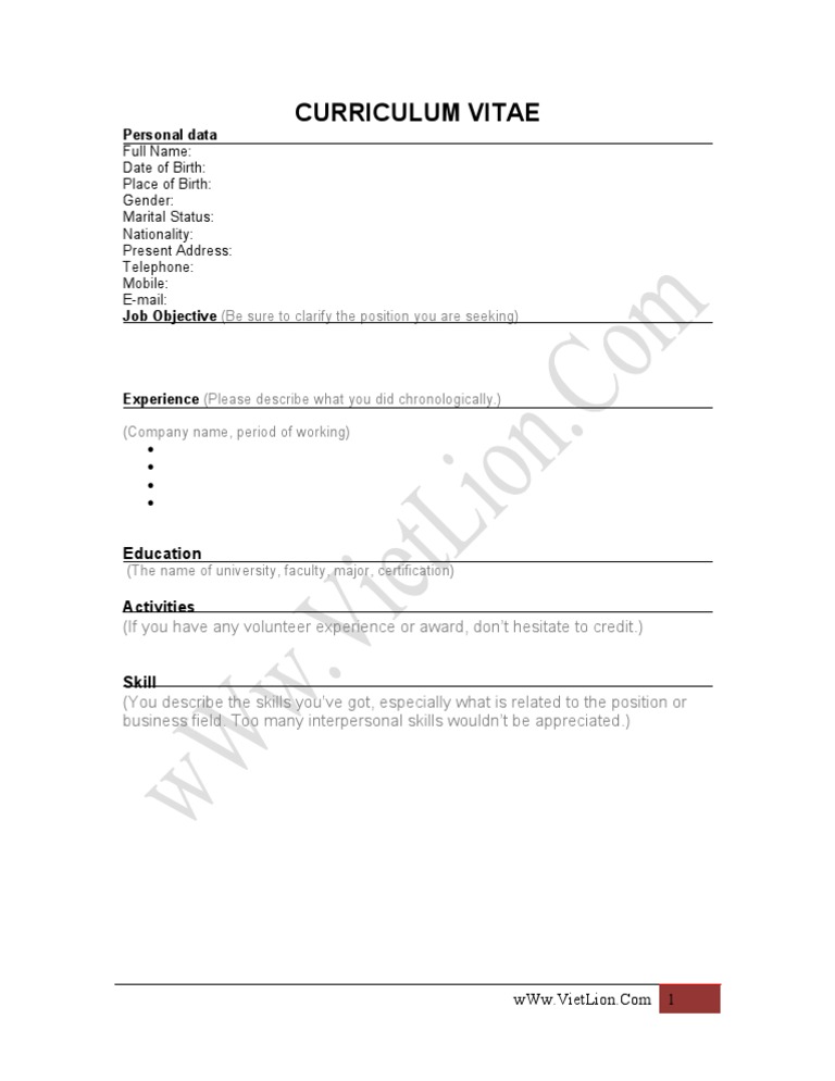 Professional CV Template Guide | PDF