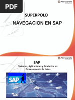 Comandos Rápidos para SAP Business One | PDF | Informática | Software