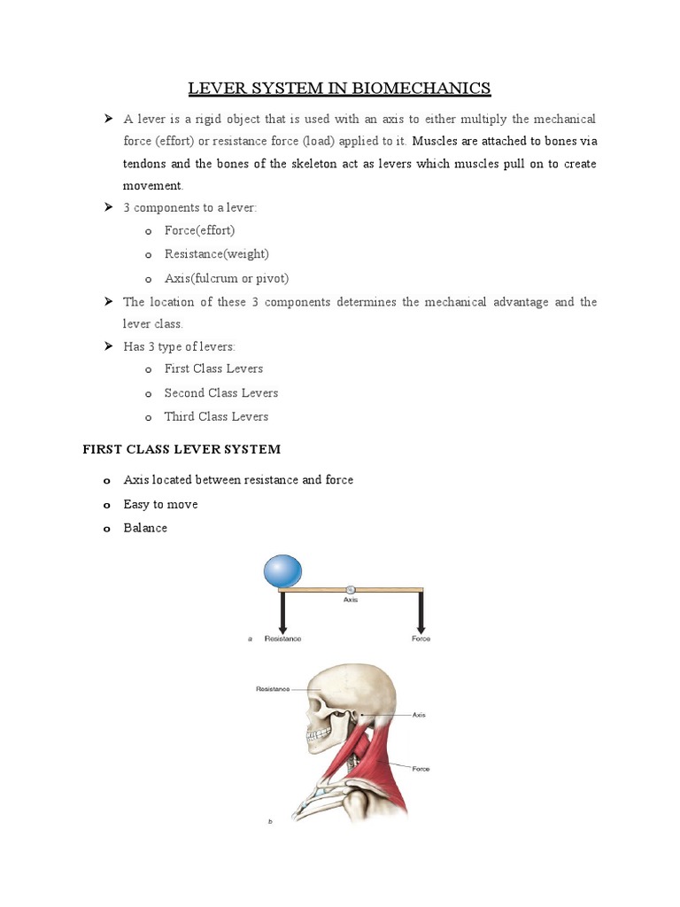 Lever Systems in Biomechanics Explained | PDF