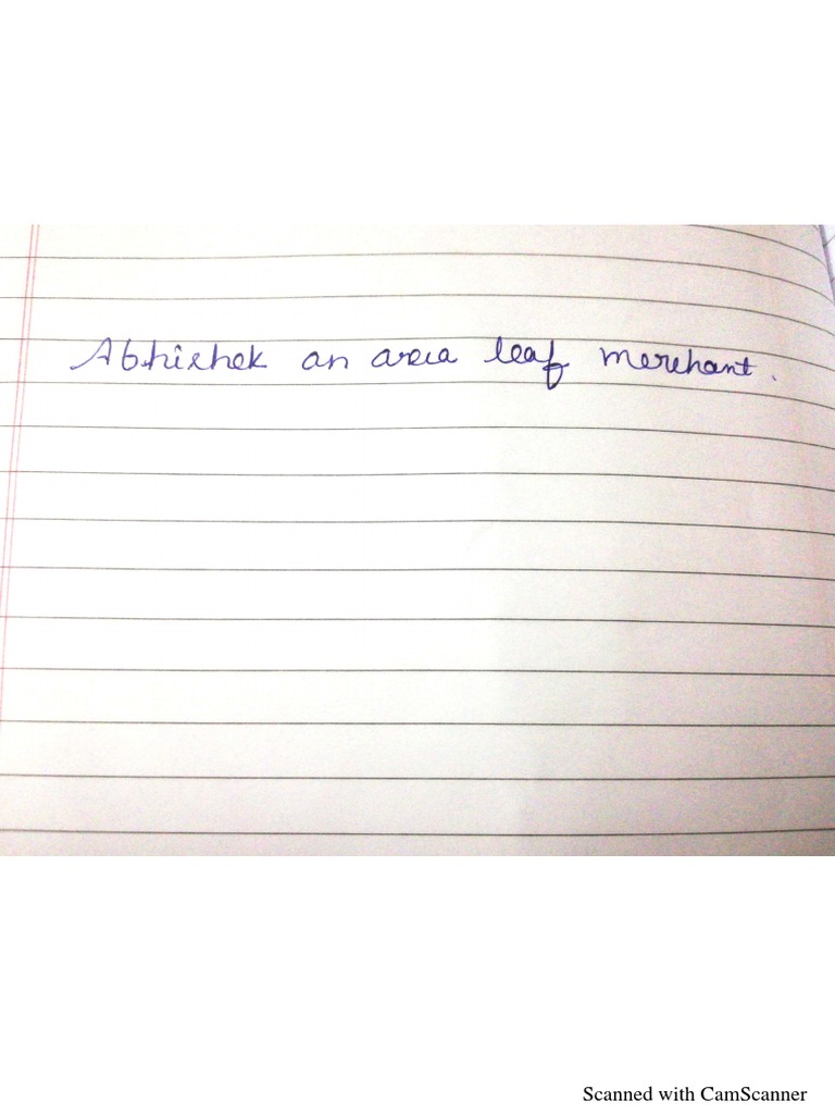 Scrib Documents | PDF