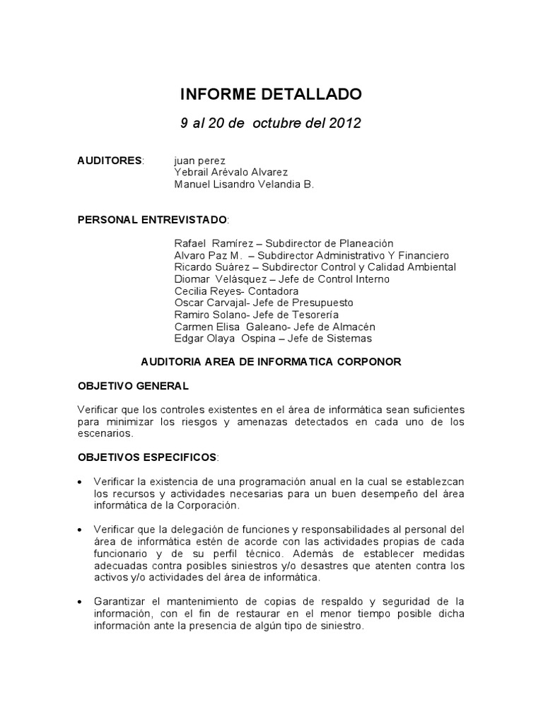INFORMES Detallado | PDF | Auditoría | Informática
