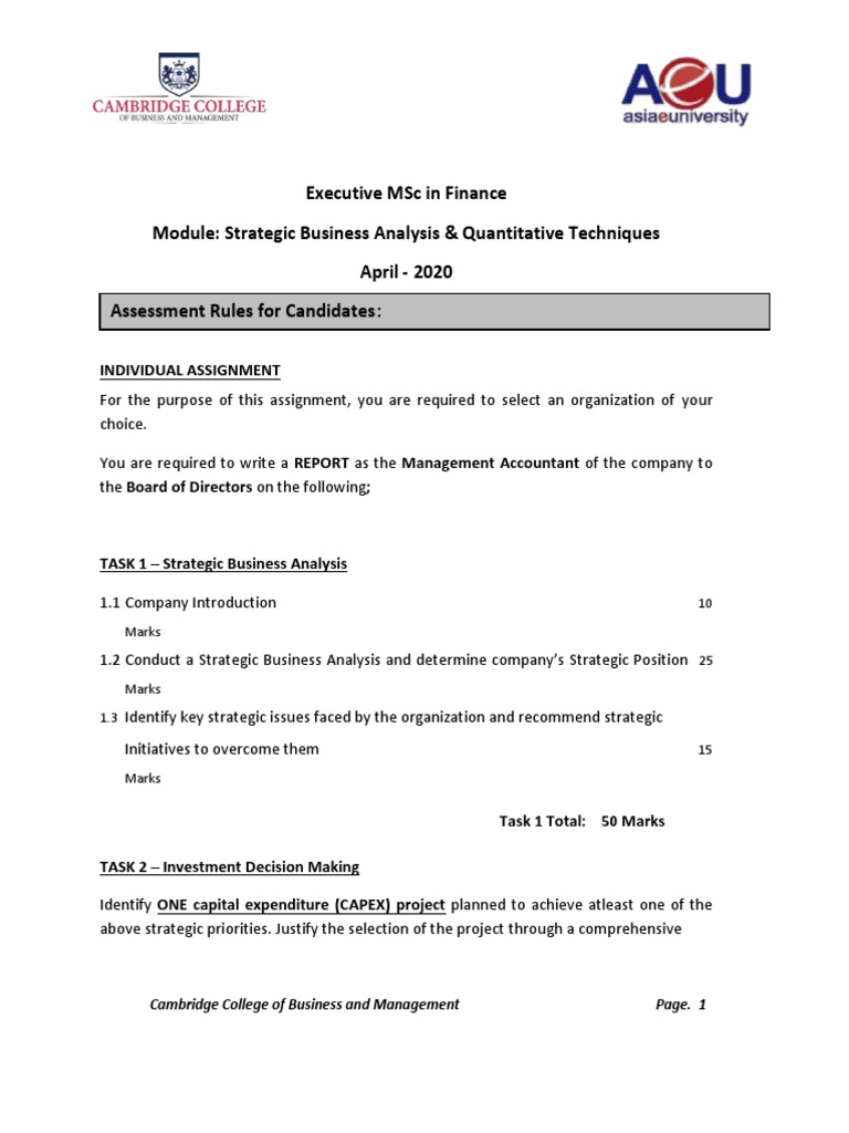 Strategic Business Analysis Assignment Guide | PDF | Business Analysis | Times New Roman
