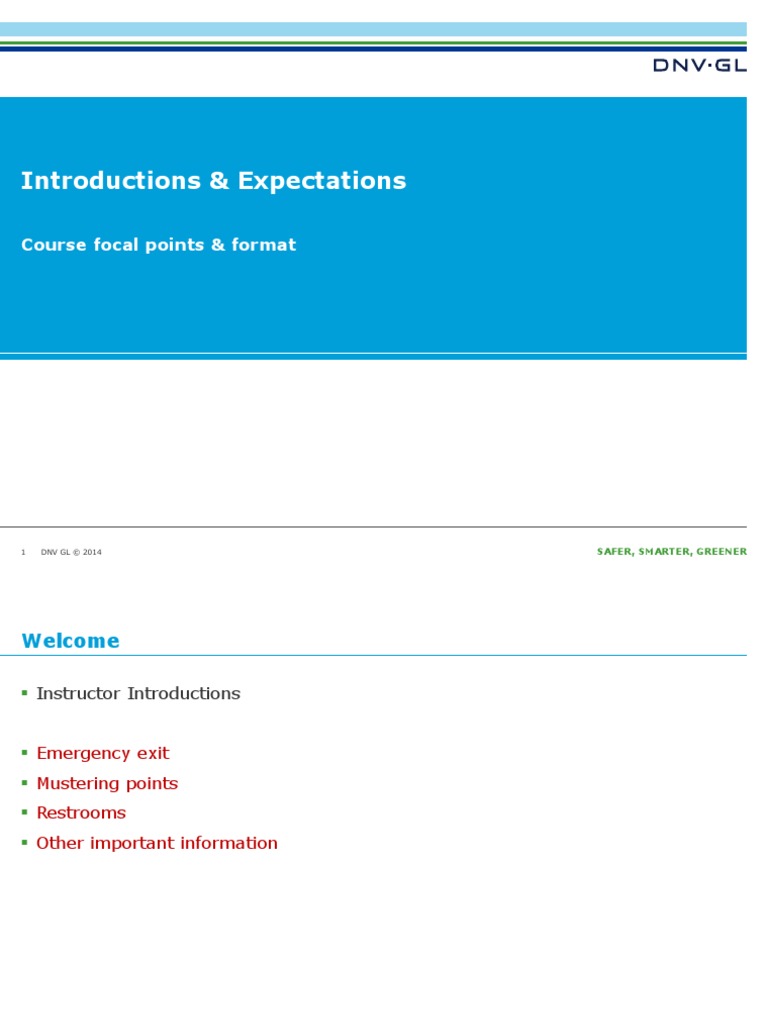 The Basics of API RP 1173 PDF | PDF | Risk Management | Quality ...