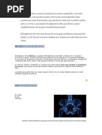 Parto Distócico: Causas y Evaluación | PDF | Parto | Salud maternal