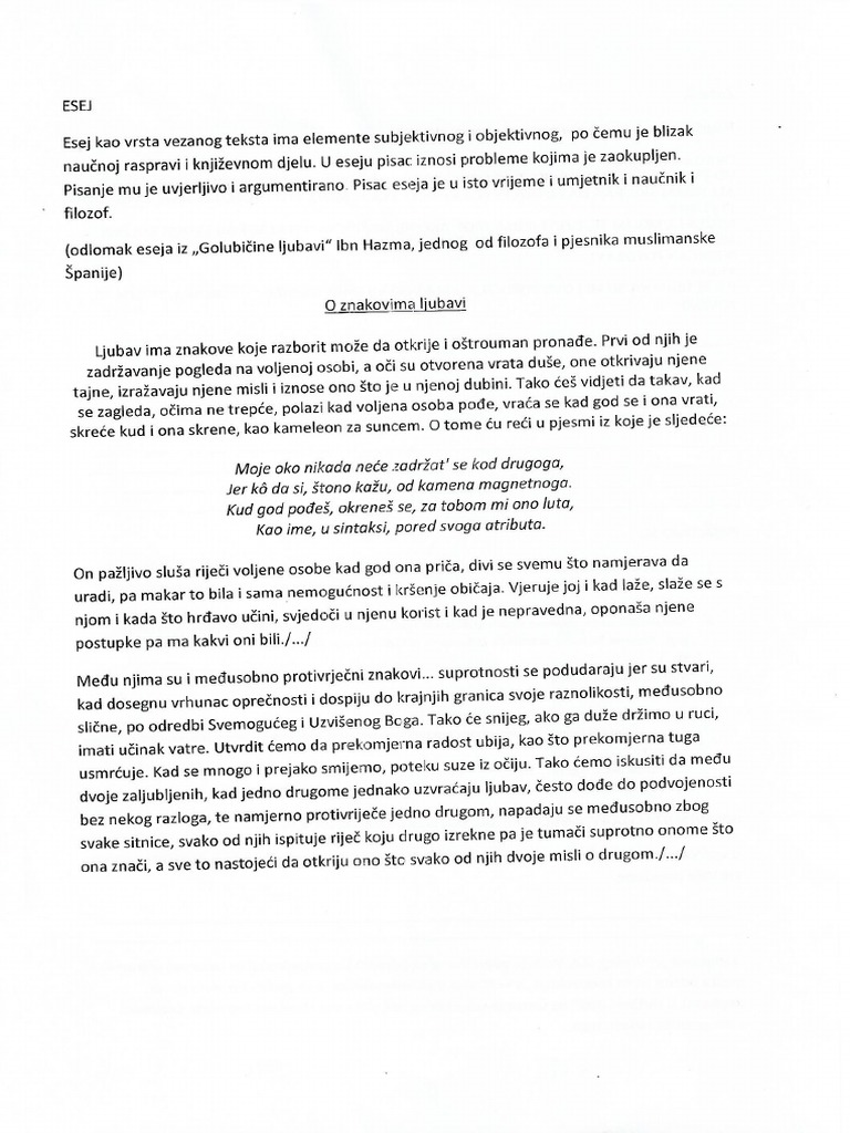 Esej - Primjer PDF | PDF